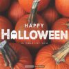 Have A Healthy Halloween with Acupuncture - Complete Oriental Medical Care