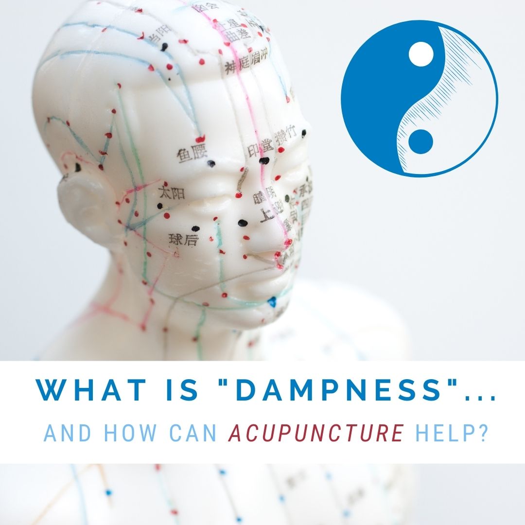 What is Dampness and How Can Acupuncture Help? - Complete Oriental ...